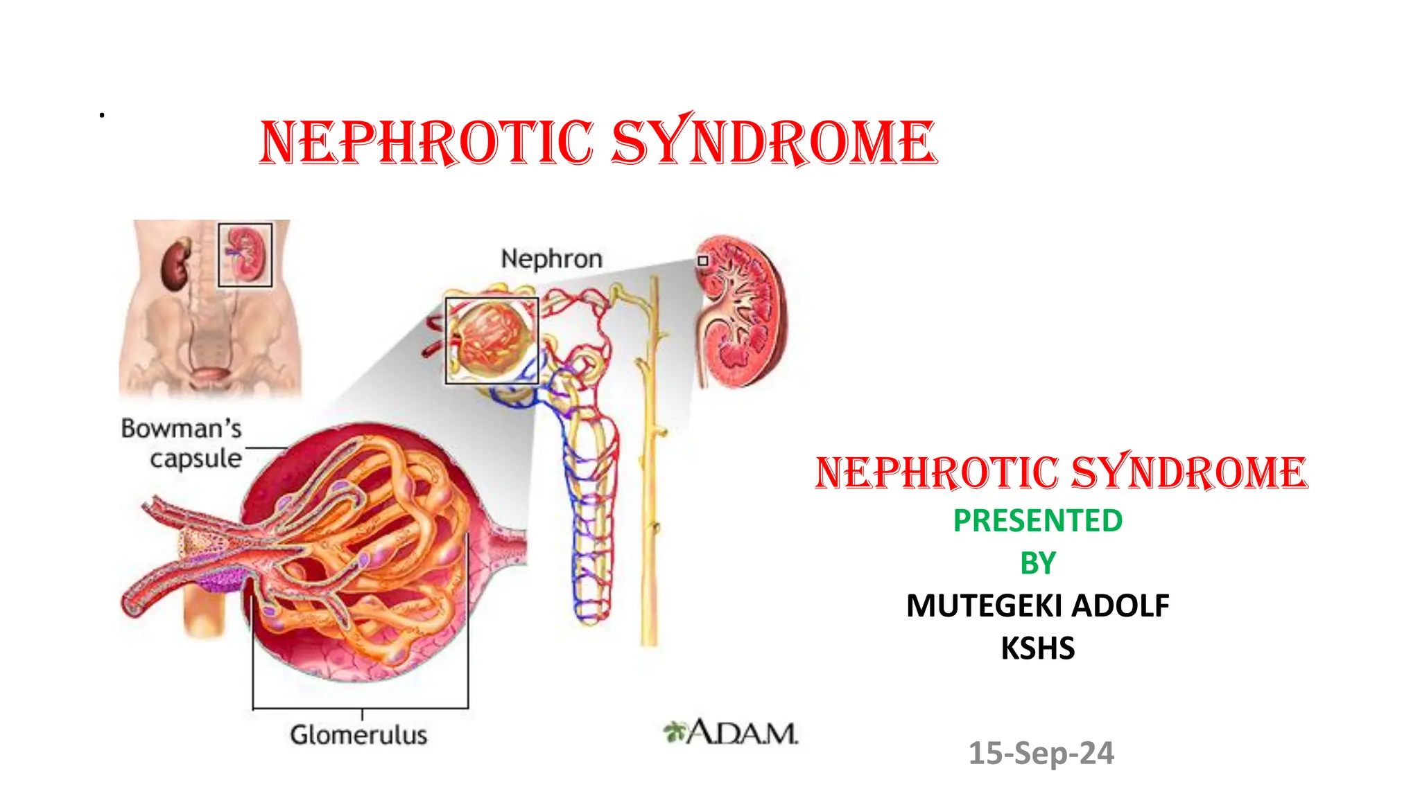 NEPHROTIC SYNDROME. a kidney disorder characterized by: Severe ...