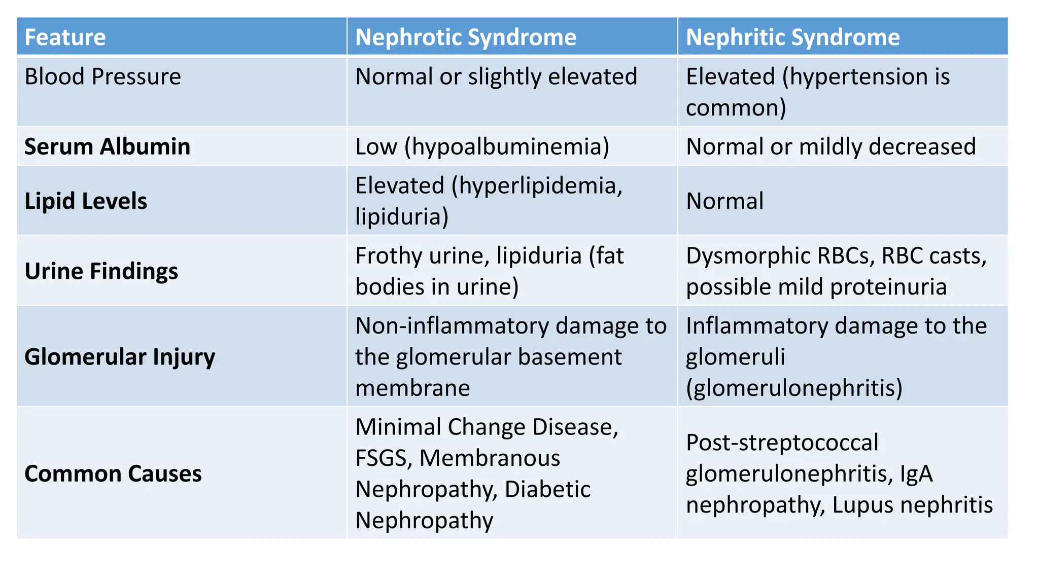 NEPHROTIC SYNDROME. a kidney disorder characterized by: Severe ...
