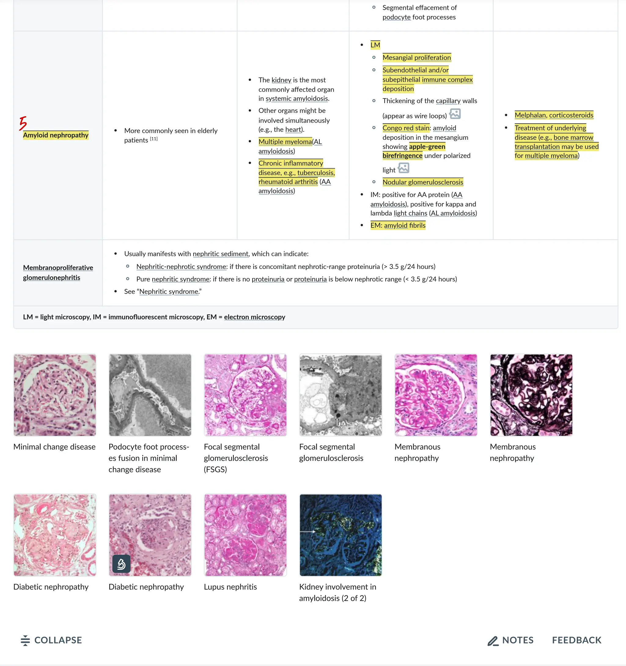 Nephrotic syndrome. - AMBOSS.pdf