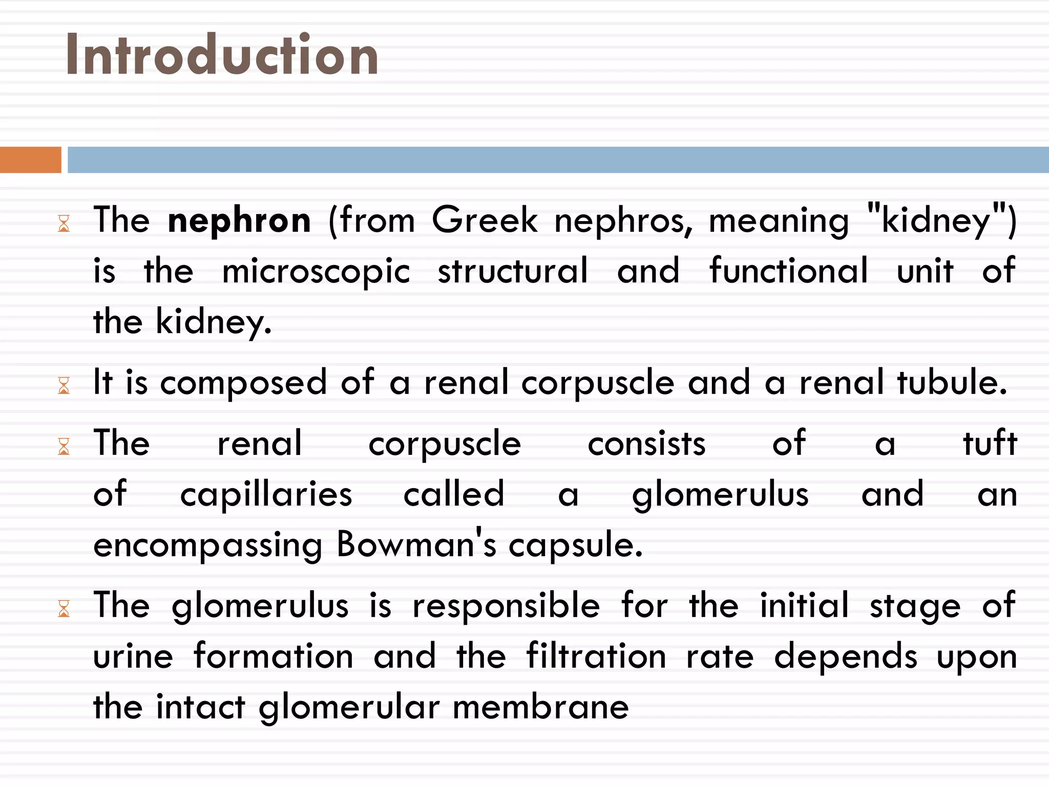 Nephrotic syndrome (Primary glomerulonephrosis) | PDF