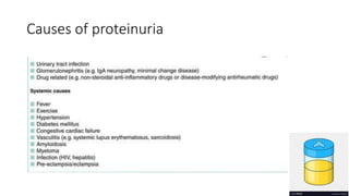 Nephrotic Syndrome intro, pathophysiology & complications | PPT