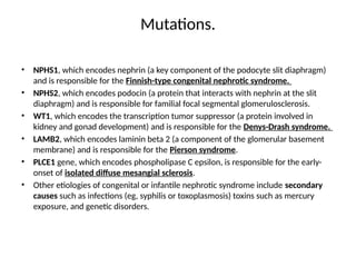 Nephrotic syndrome Neprotic Syndrome NS | PPTX