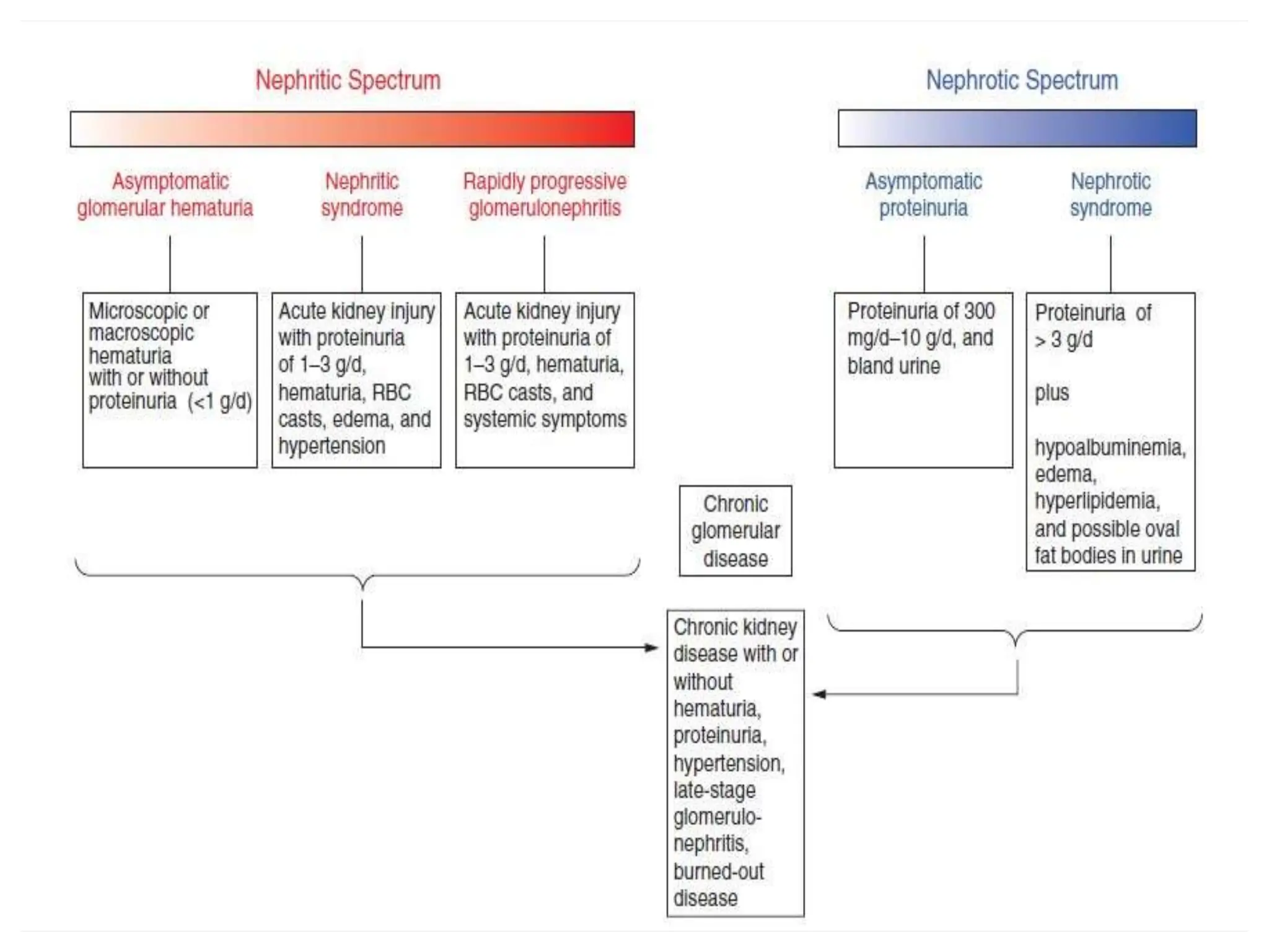Nephrotic and nephritic Syndrome children 7.ppt