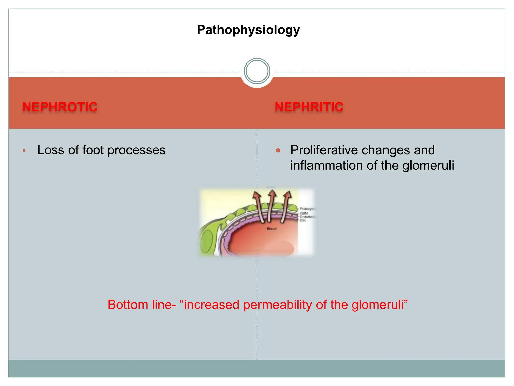 Nephrotic and nephritic Syndrome children 7.ppt