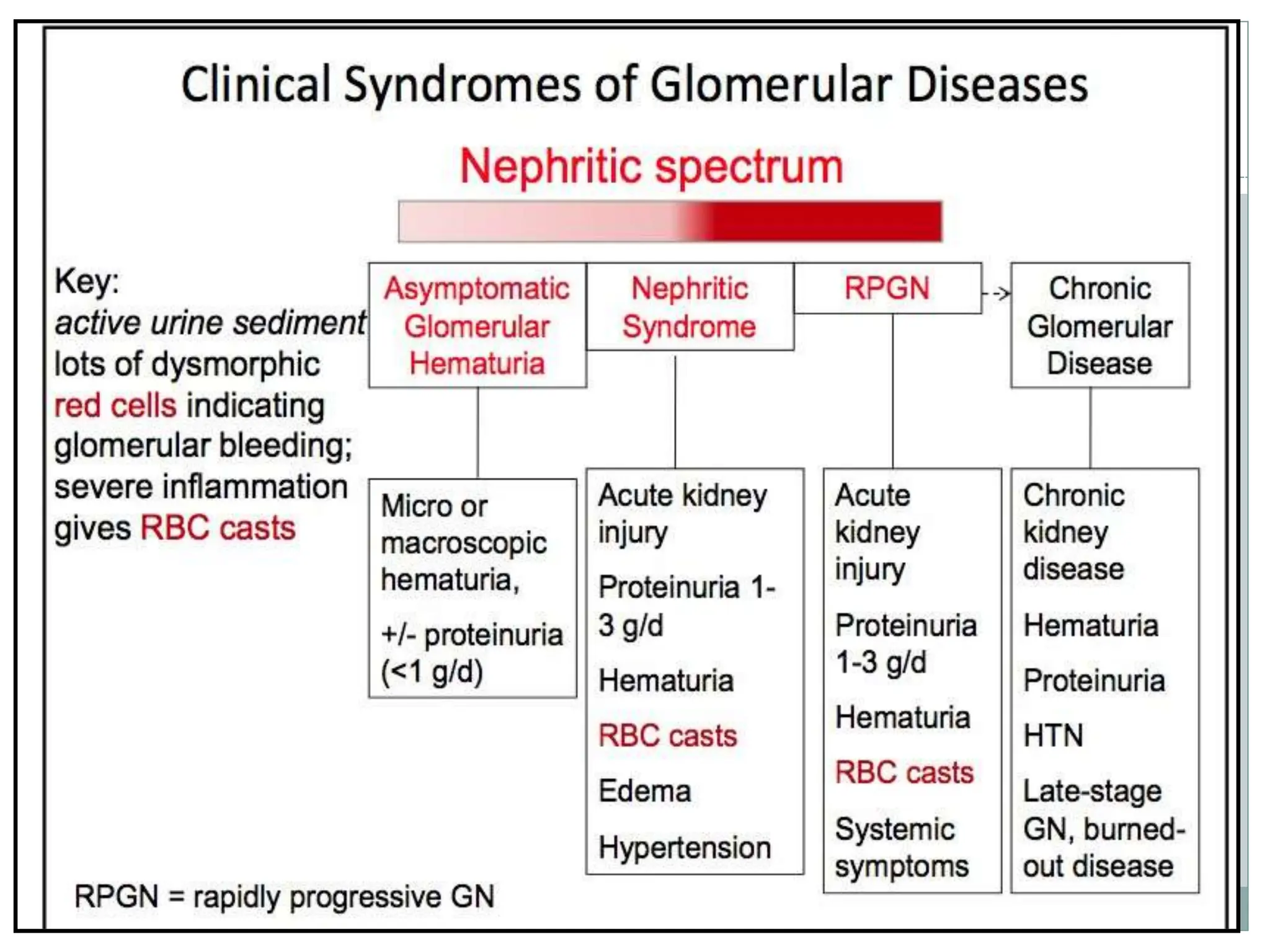 Pediatrics Nephrotic and Nephritic Syndrome 7.ppt