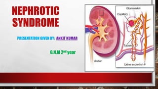 Nephrotic syndrome Renal function s..pptx