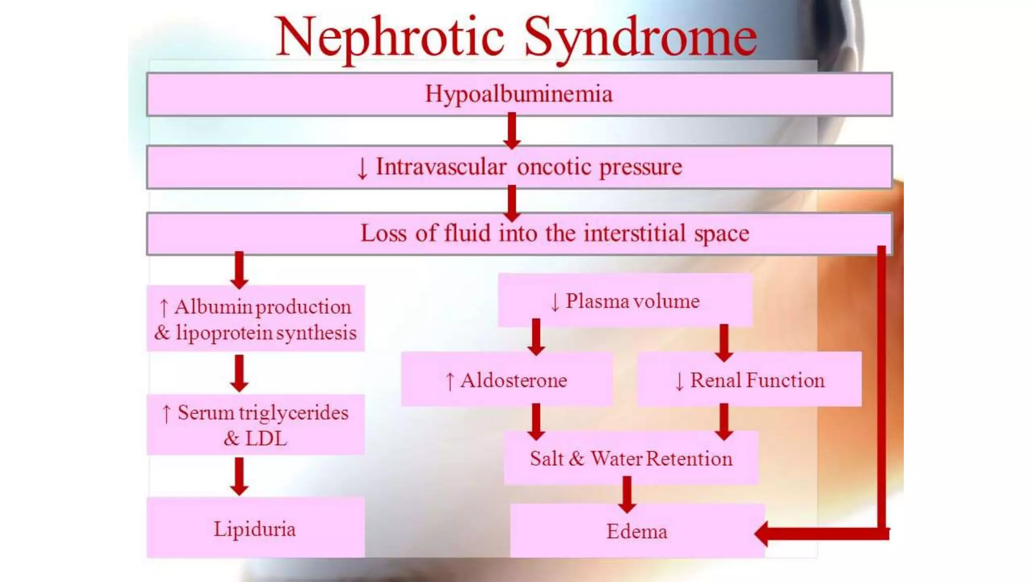 Nephrotic syndrome [full] | PPT