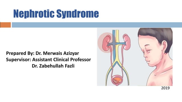 Nephrotic syndrome ppt | PPTX | Blood Disorders | Diseases and Conditions