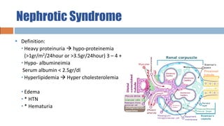 Nephrotic syndrome ppt | PPTX