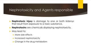 Nephrotoxic drugs | PPTX