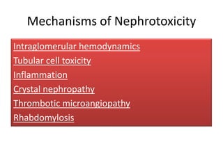 Nephrotoxicity eman 2013 | PPT