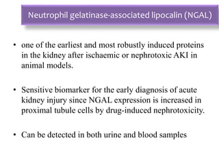 Tests for Nephrotoxicity and its Biomarkers | PPTX