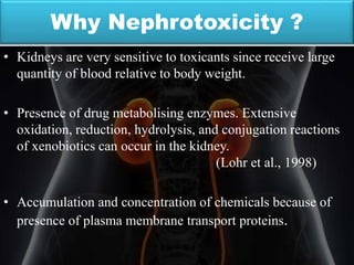 Tests for Nephrotoxicity and its Biomarkers | PPTX