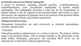 Nephrotoxicology - Toxic Responses of the Kidney | PPTX