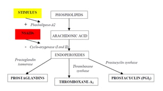 Nephrotoxins: factors that cause nephrotoxicity | PPTX