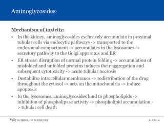 Nephrotoxins.pptx
