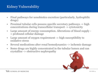 Nephrotoxins.pptx