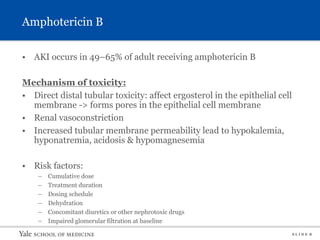 Nephrotoxins.pptx