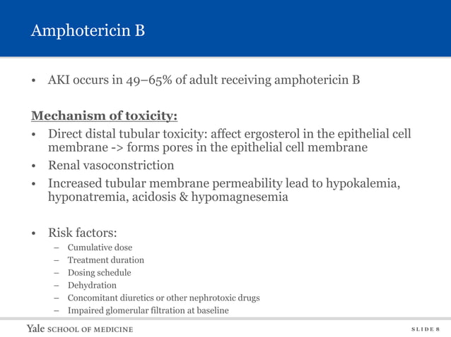 Nephrotoxins.pptx | Chemistry | Science