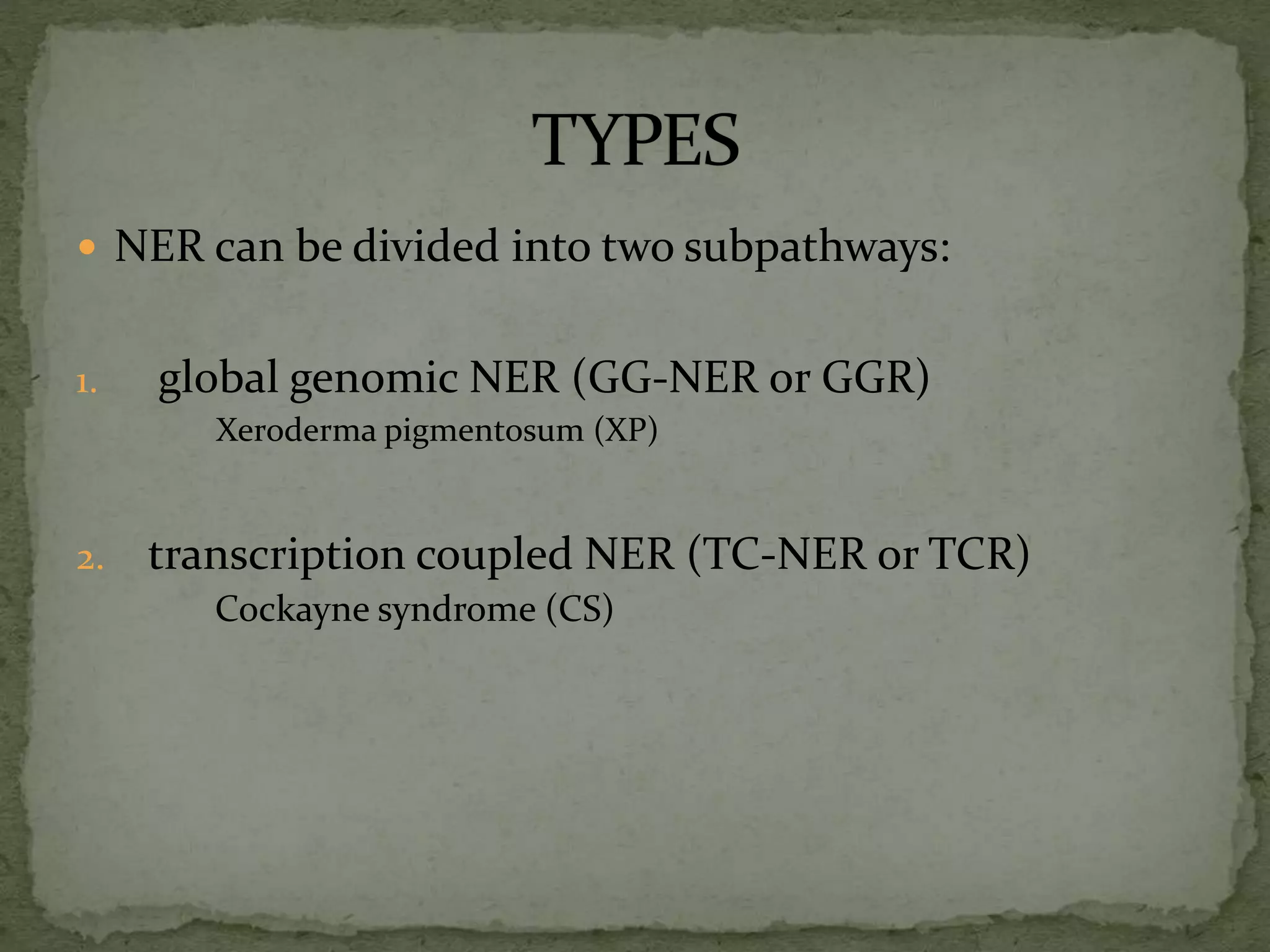 Nucleotide excision repair | PPTX