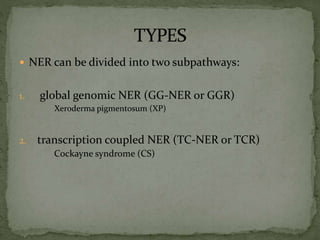Nucleotide excision repair | PPTX