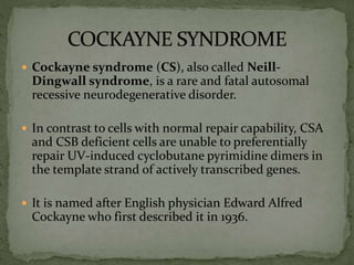 Nucleotide excision repair | PPTX