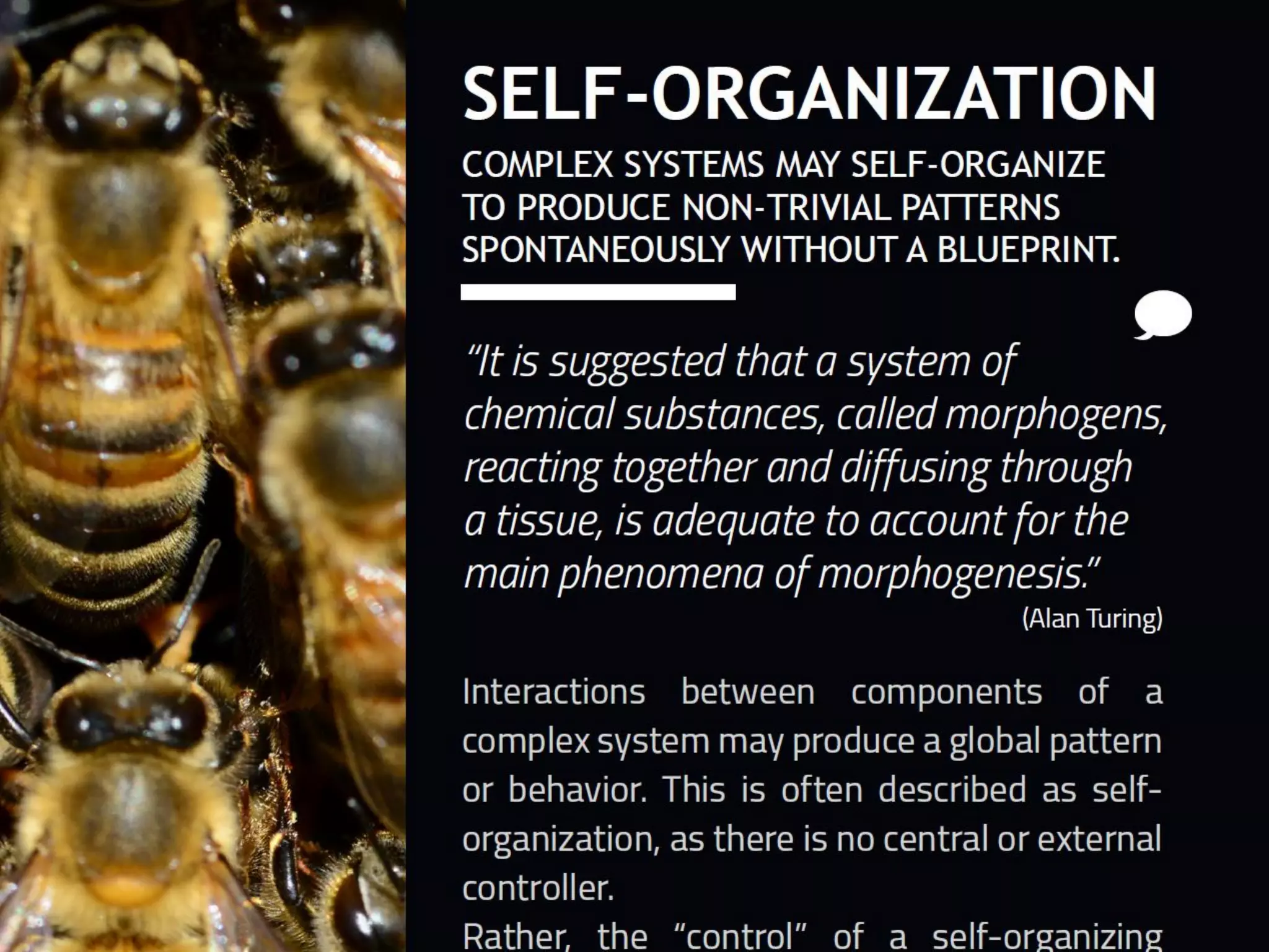 Complexity Explained: A brief intro to complex systems | PDF | Artificial Intelligence ...