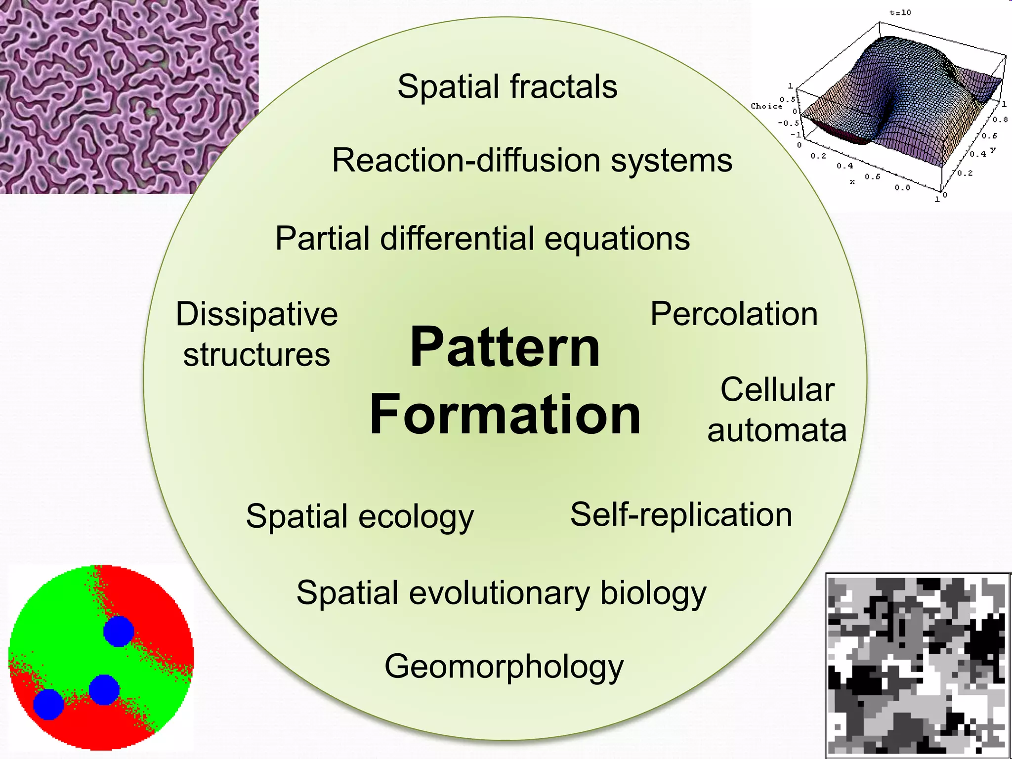 Complexity Explained: A brief intro to complex systems | PDF | Artificial Intelligence ...