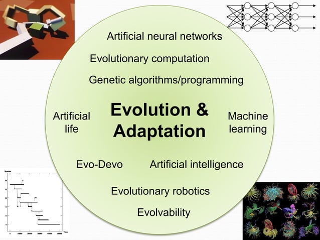 Complexity Explained: A brief intro to complex systems | PDF | Artificial Intelligence ...