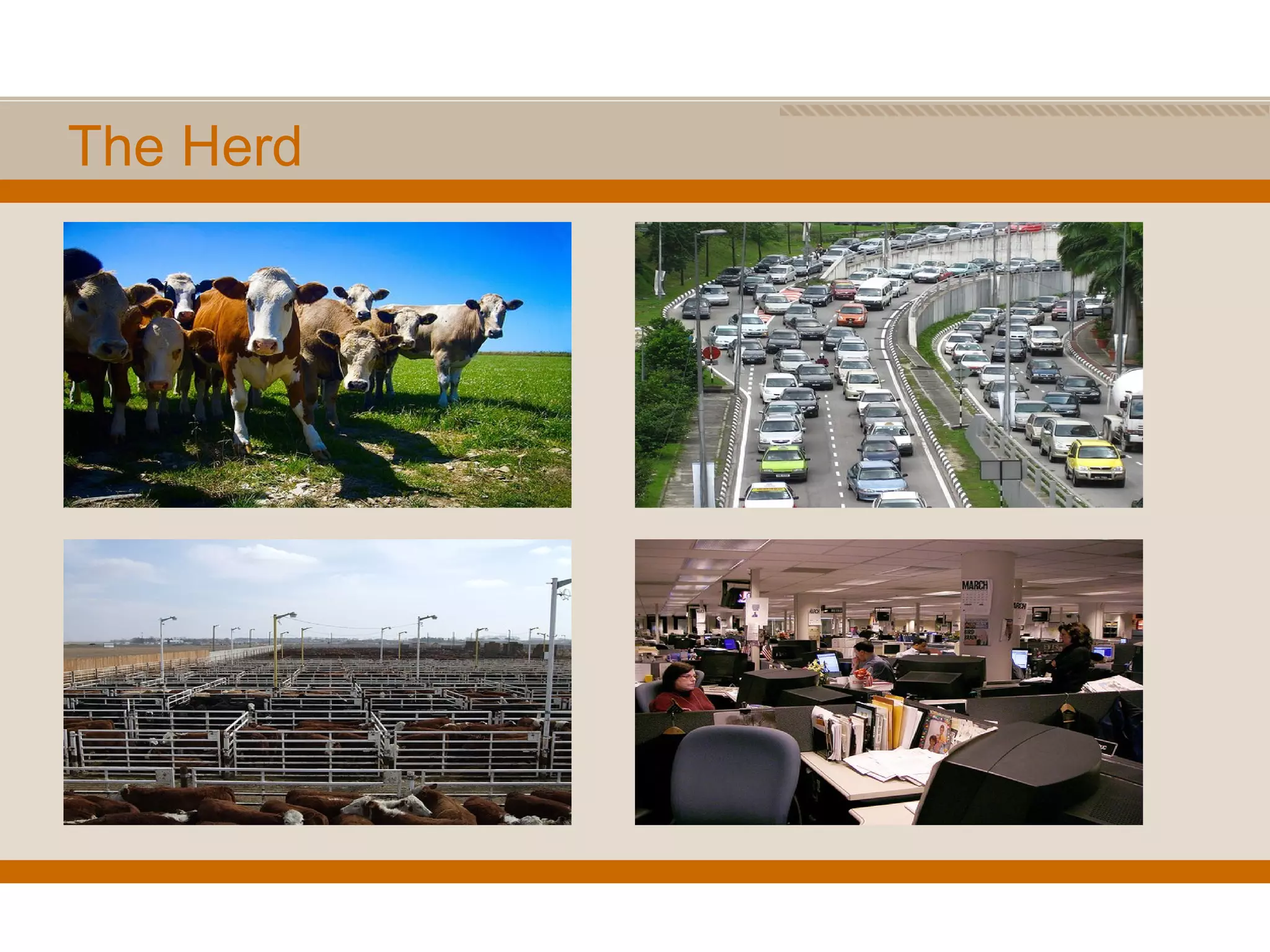 Nerd Herding | PPT