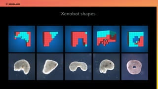 Nerdland CRISPR Special | PPT