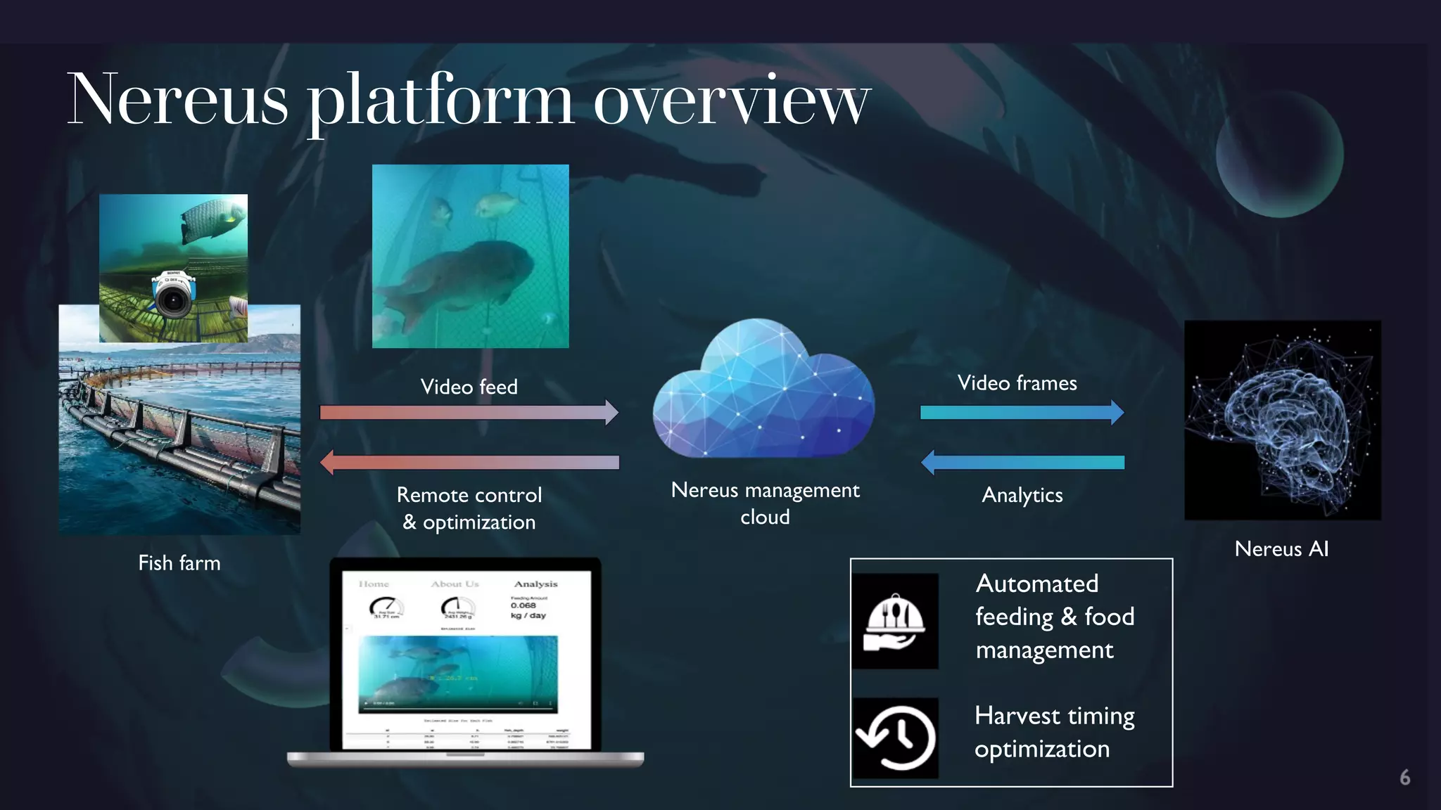 Nereus Pitch Deck | PDF