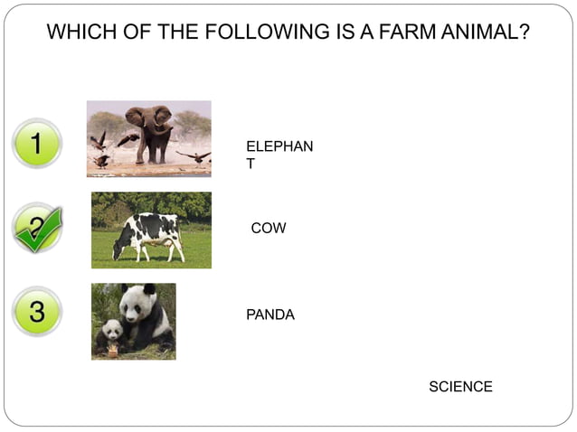 Nerissa a repia presentation 2 | PPT