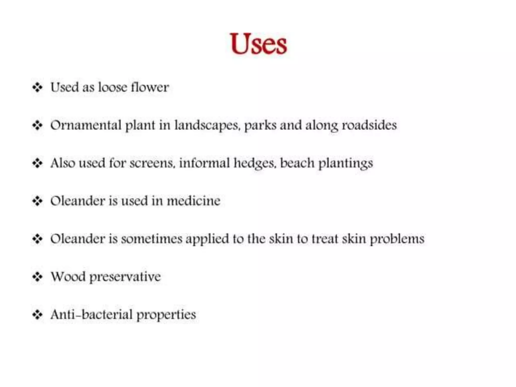 Nerium and celosia PPT.pptx