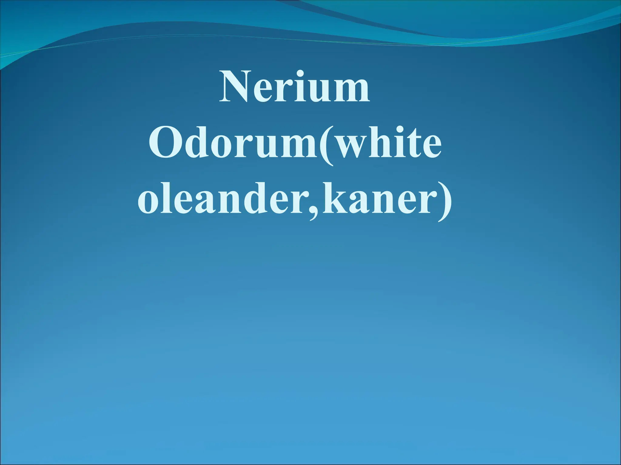 nerium odorum.ppt Forensic medicine and toxicology | PPT