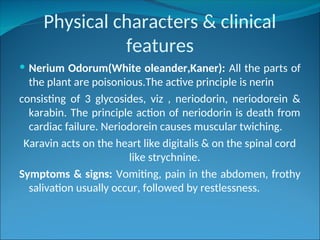 nerium odorum.ppt Forensic medicine and toxicology | PPT