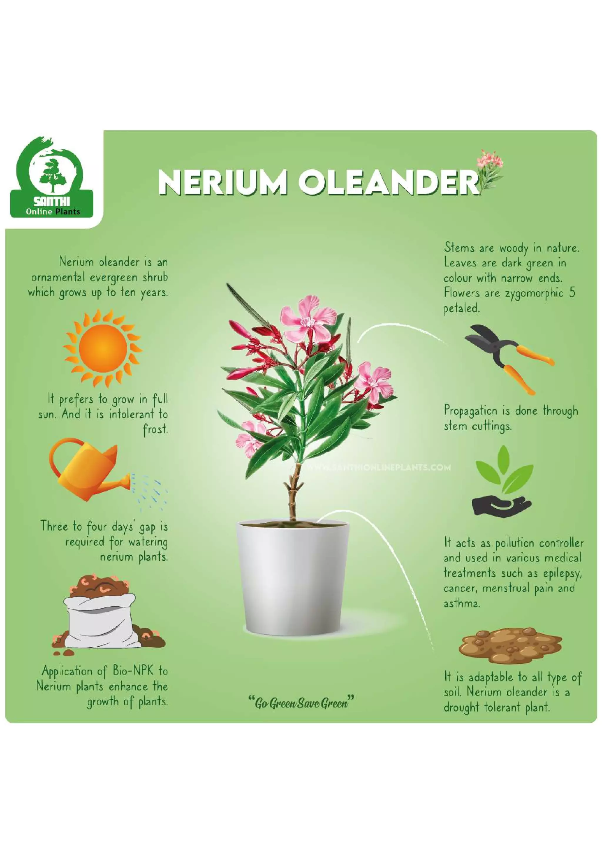 Nerium Oleander | PDF