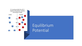 Nernst equation | PDF