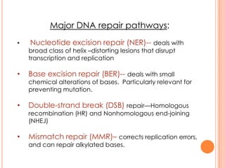 NER pathway | PPTX