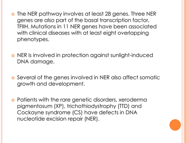 NER pathway | PPTX