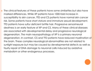 NER pathway | PPTX