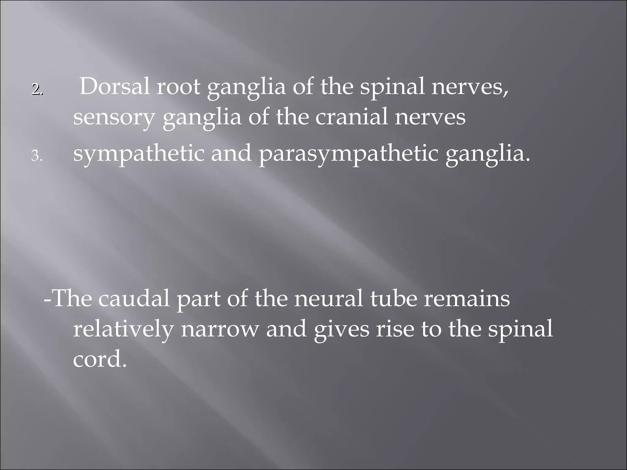 Nerve. ppt | PPT