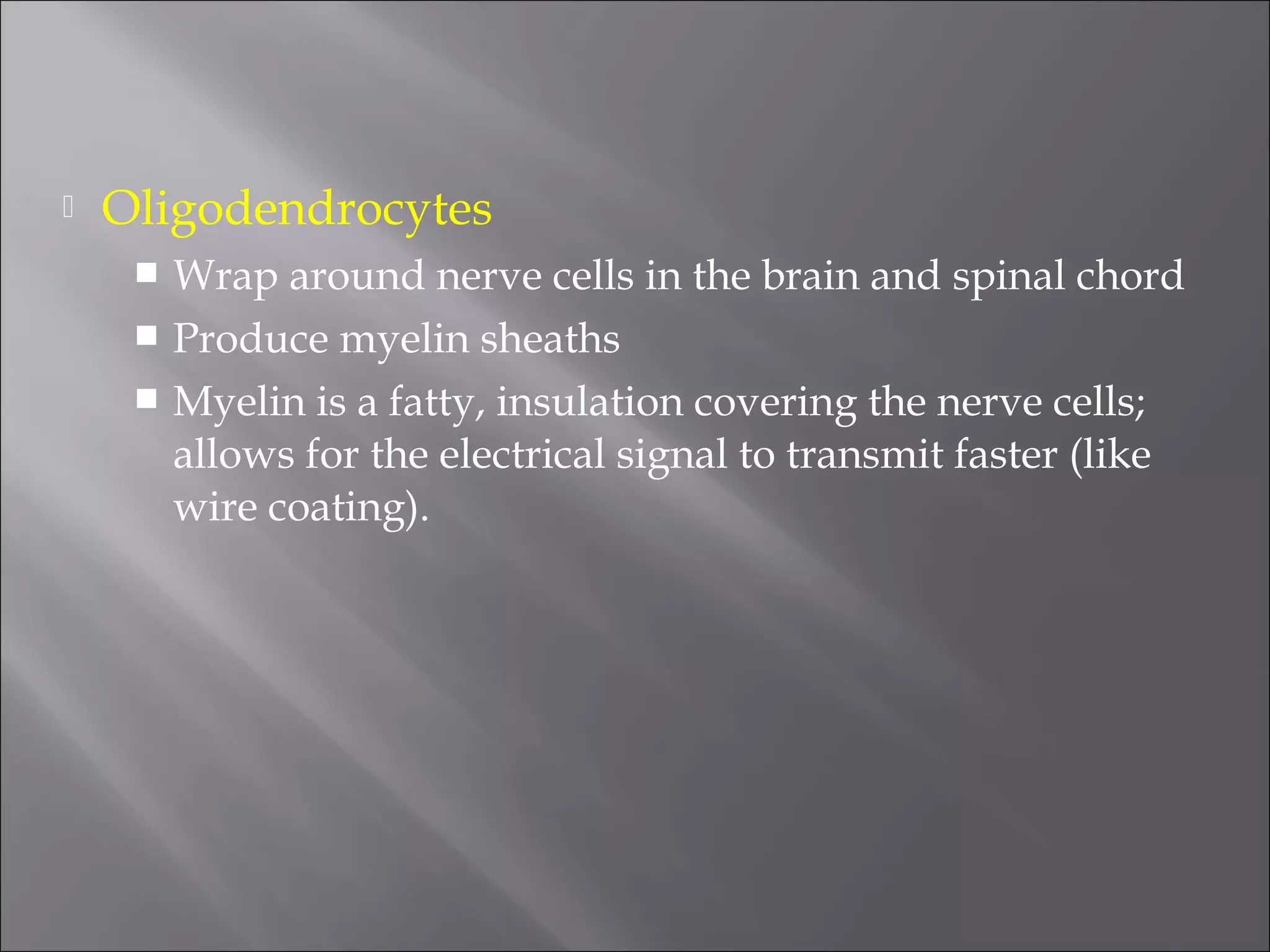 Nerve. ppt | PPT