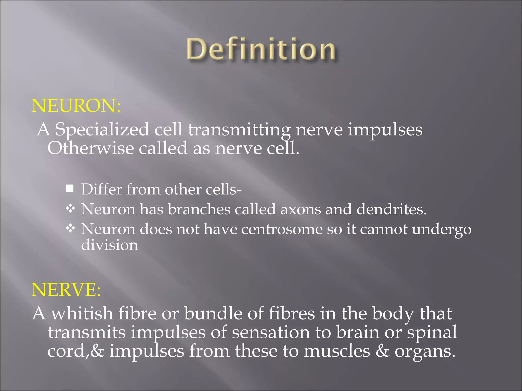 Nerve. ppt | PPT
