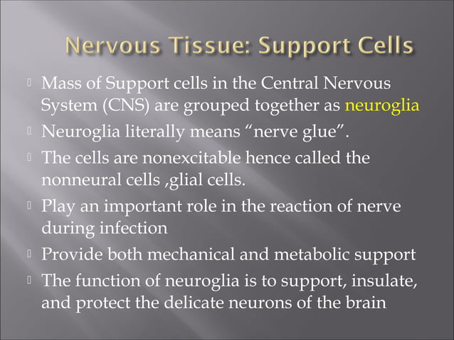 Nerve. ppt | PPT