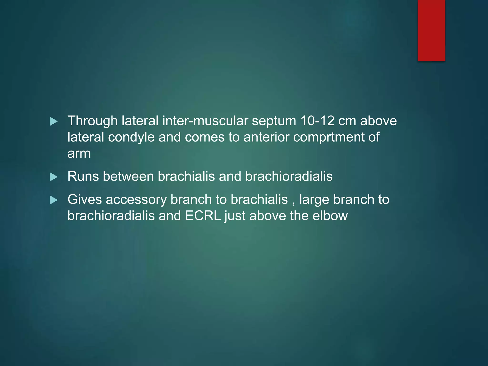 Upper Limb Nerve Anatomy | PPTX