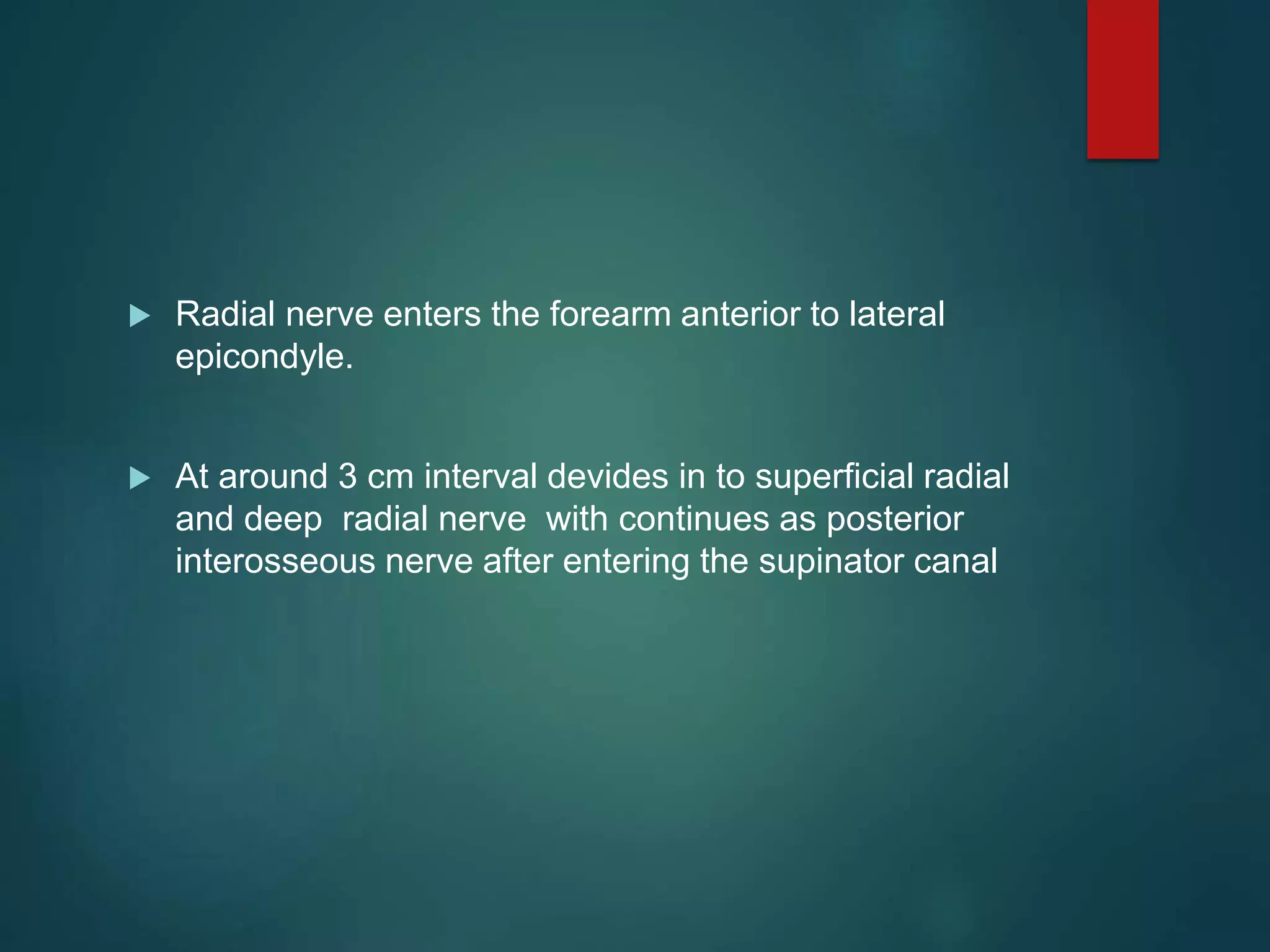 Upper Limb Nerve Anatomy | PPTX
