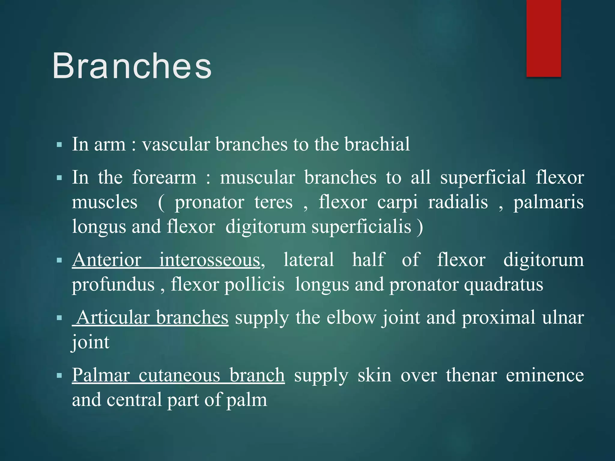 Upper Limb Nerve Anatomy | PPTX