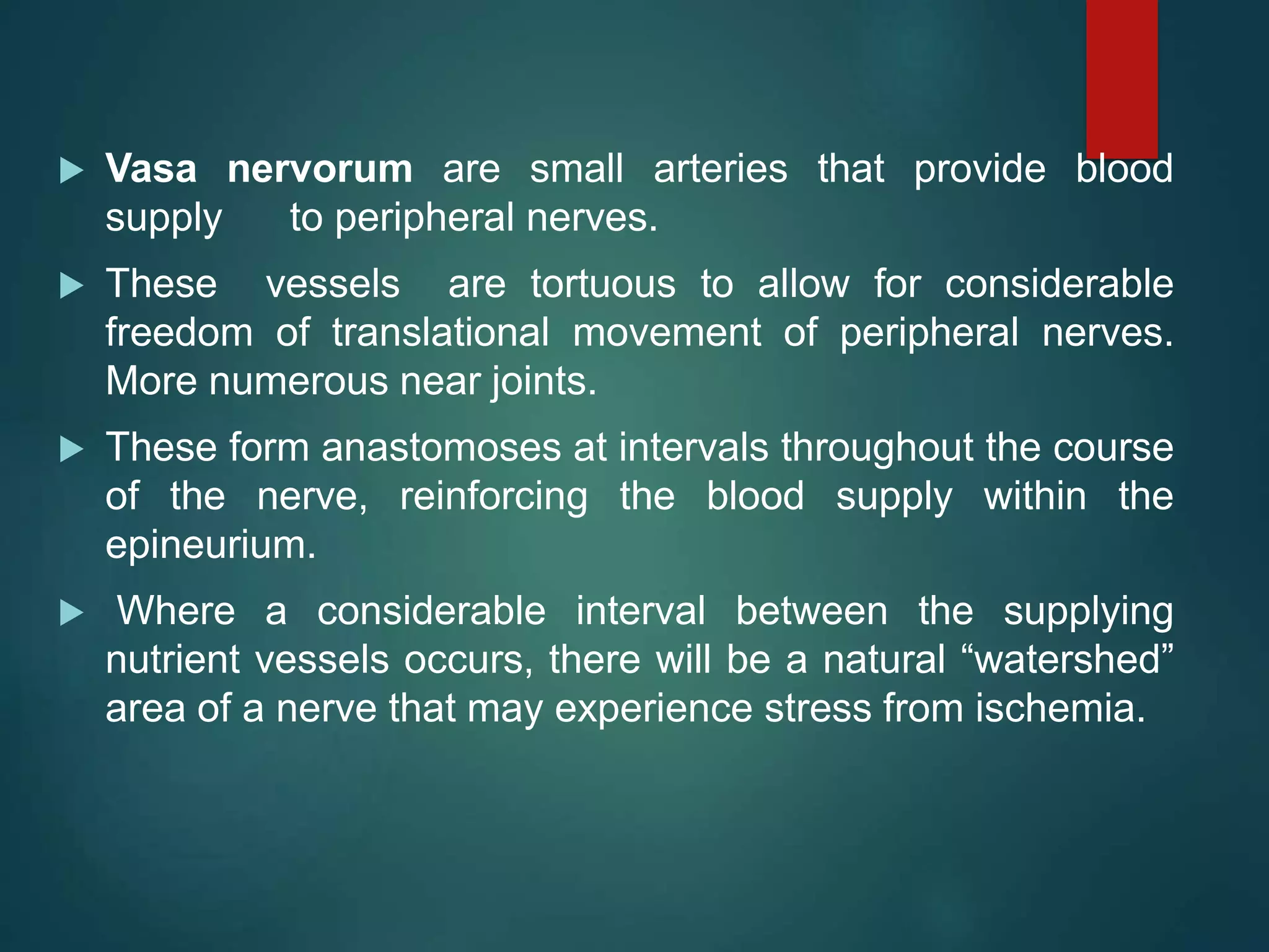 Upper Limb Nerve Anatomy | PPTX