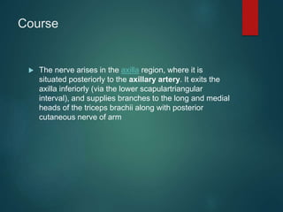 Upper Limb Nerve Anatomy | PPTX